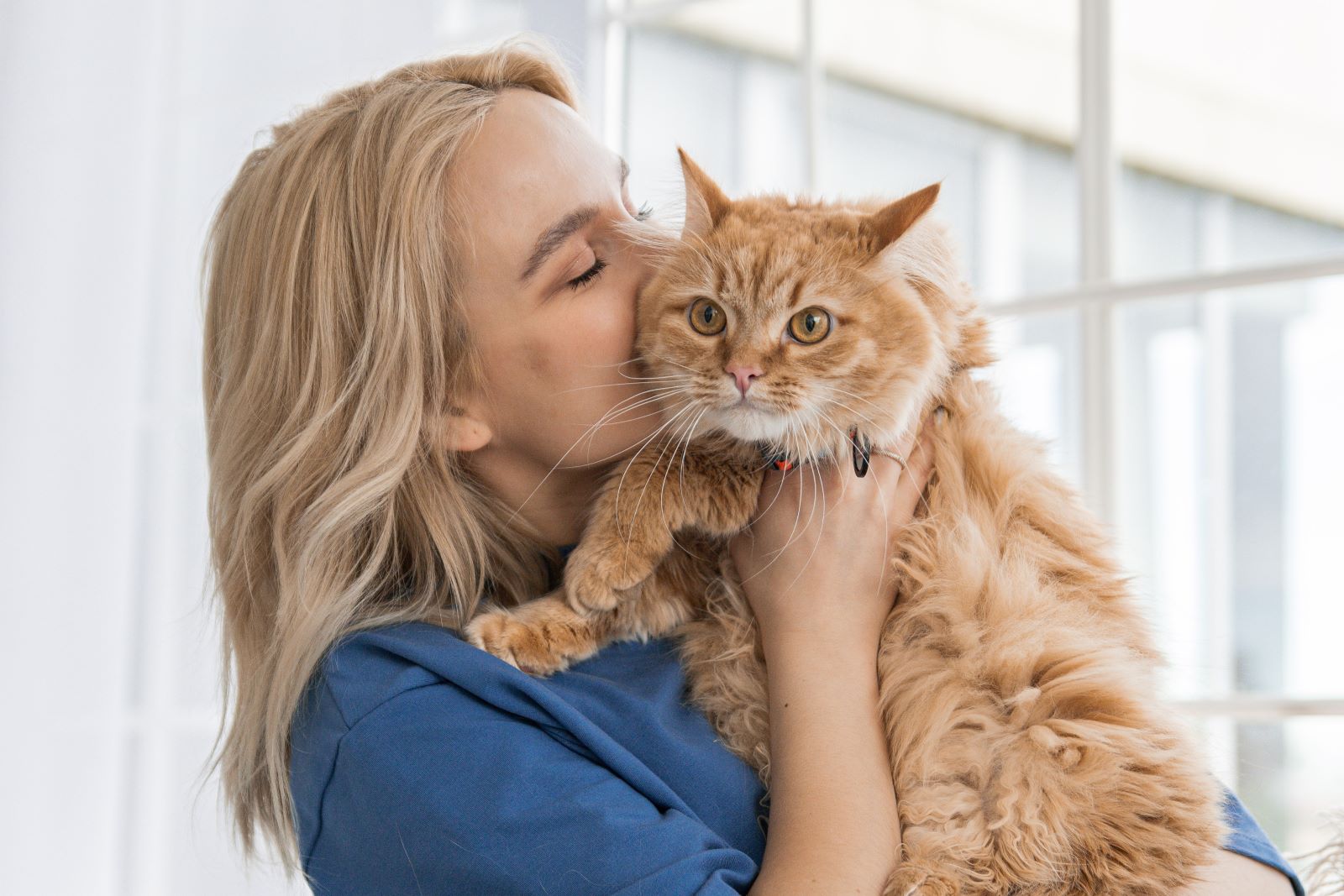 Jak podpořit trávicí systém vašeho domácího mazlíčka | PetClub.cz